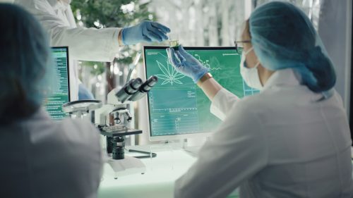 What is a Cannabinoid? - Rehab Clinics Group